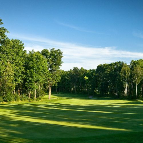 The Course - Trillium Wood