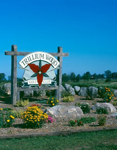Photo Gallery - Trillium Wood