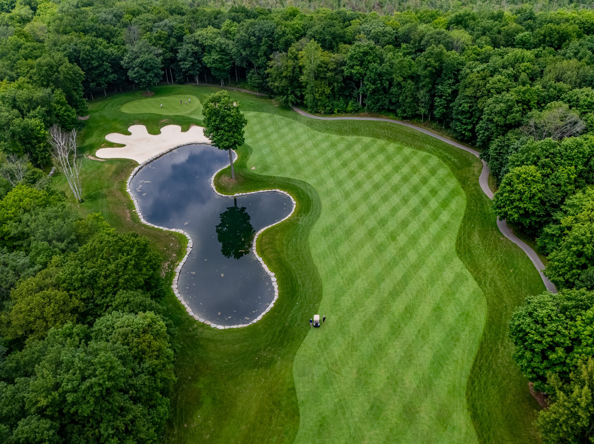 Club Championship - Trillium Wood